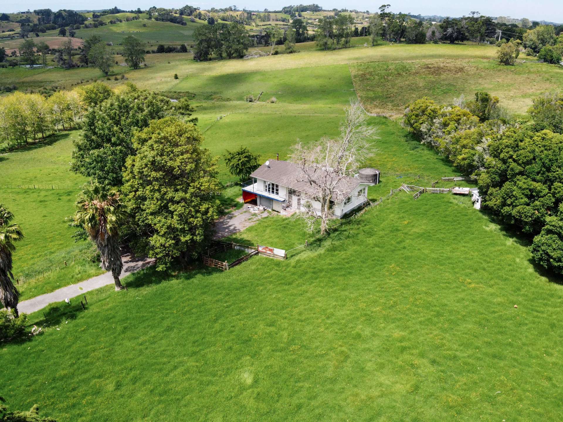 1546 Dairy Flat Highway | Silverdale | Rodney | Commercial Property For ...