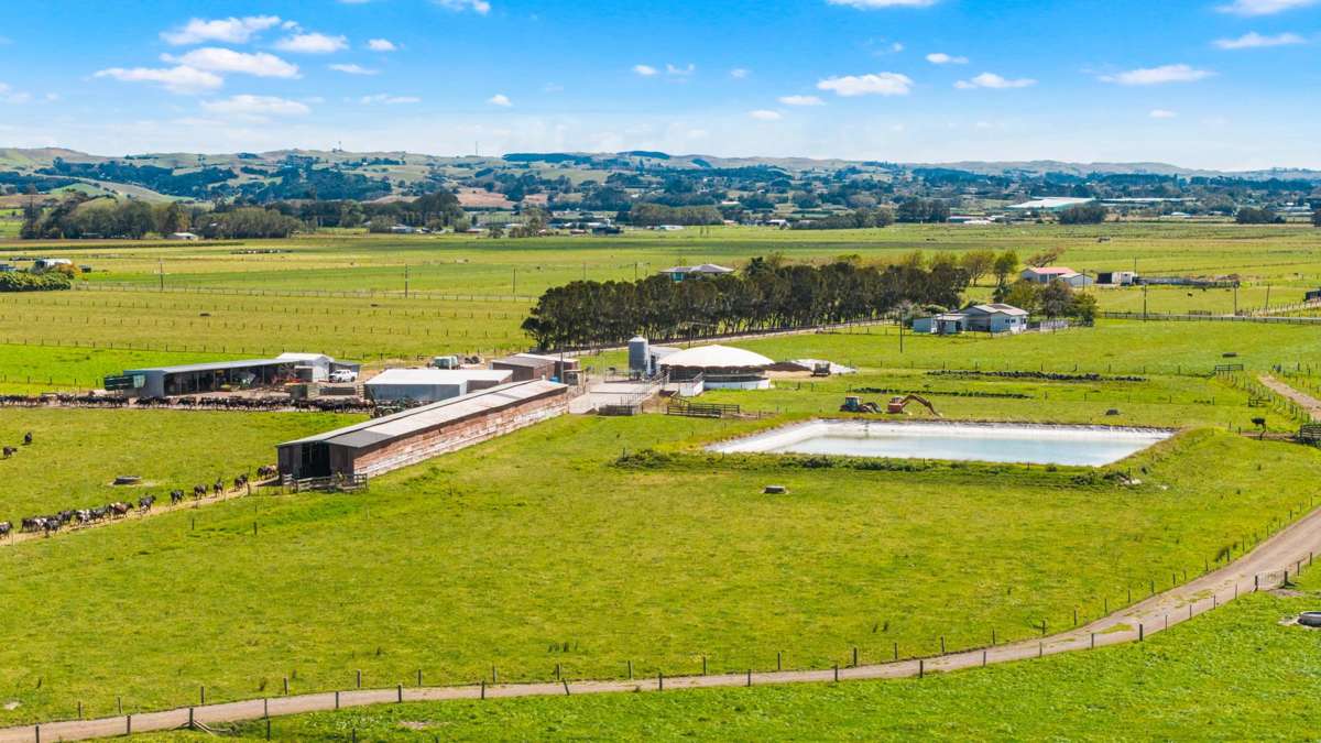 351 Otaua Road | Waiuku | Franklin | Rural Property For Sale - OneRoof