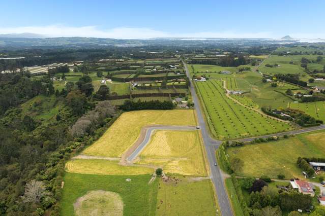 Lot 2-4 1122 Oropi Road | Oropi | Western Bay Of Plenty | Houses for ...