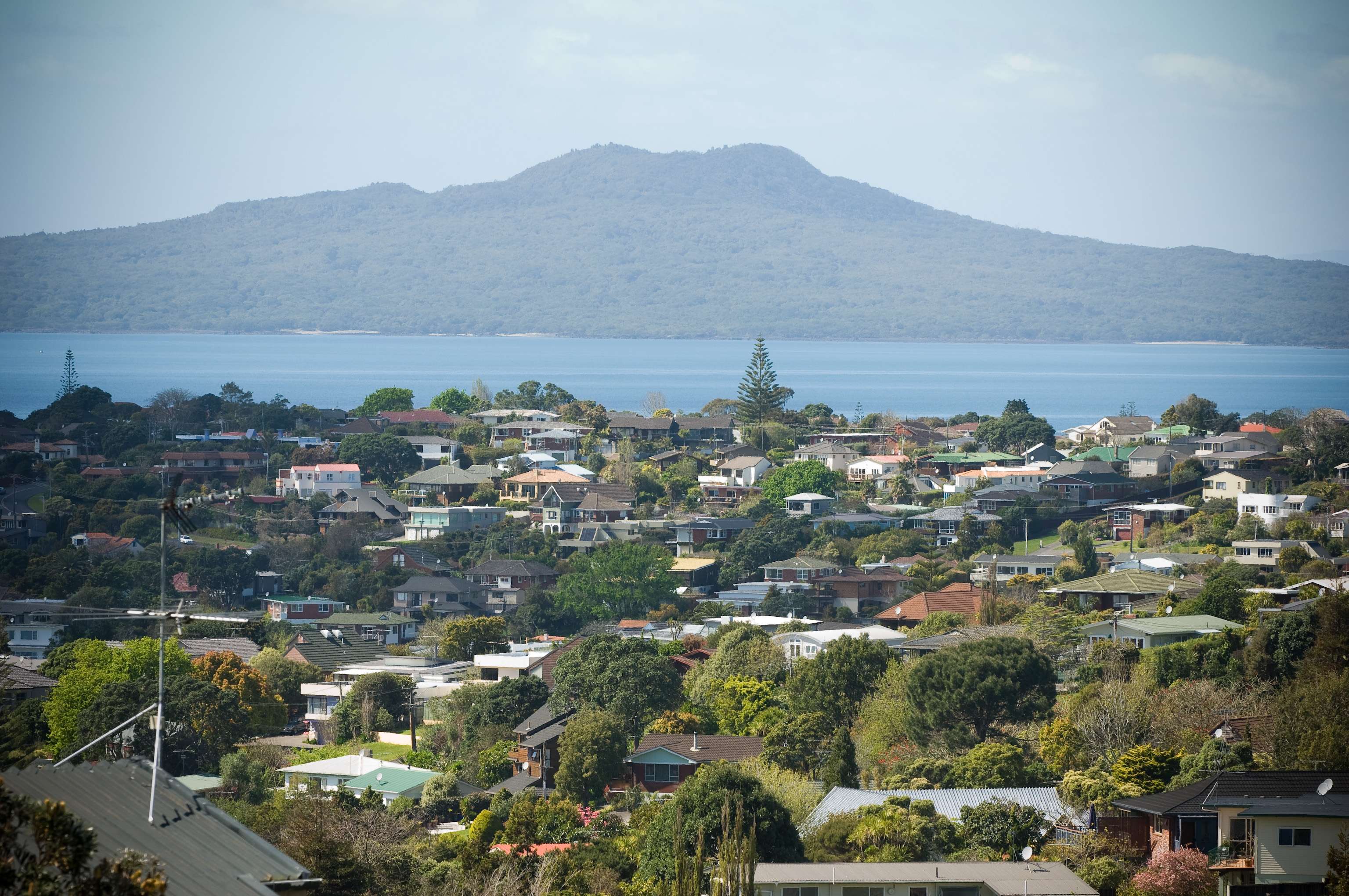 Bindi Norwell: Healthy homes yes - but who pays, All things property ...