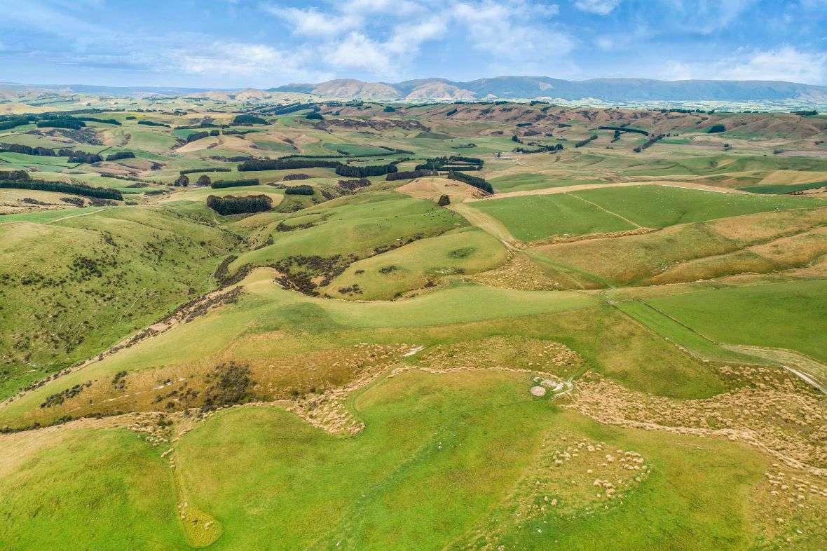 ‘Most admired’ Moa Flat farm for sale for the first time since 1955 ...