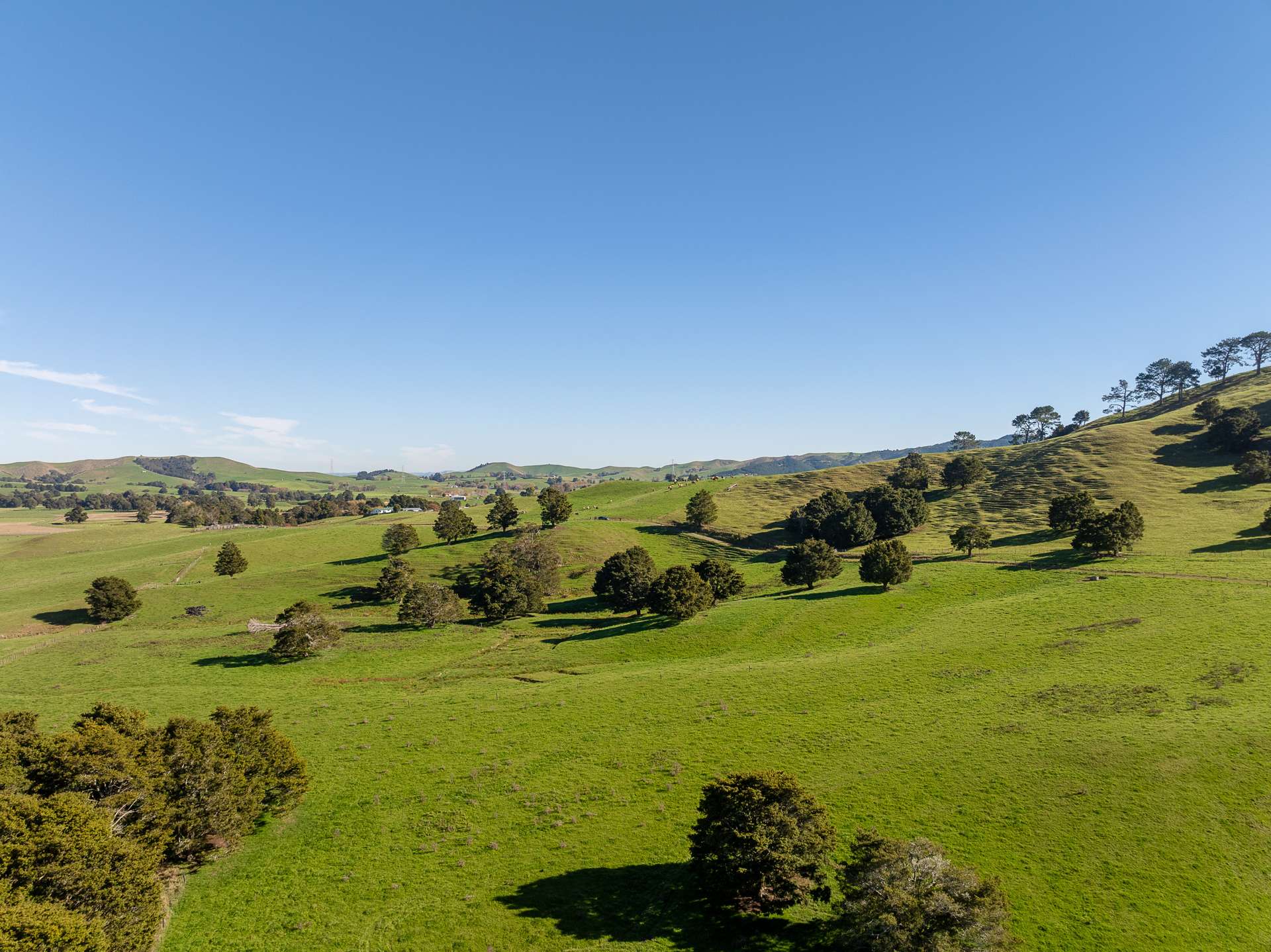 440 and 532 Storey Road | Ohinewai | Waikato | Rural Property For Sale ...