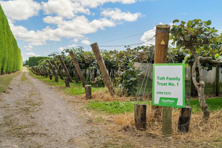 900 Te Matai Road | Te Puke | Western Bay Of Plenty | Rural Property ...