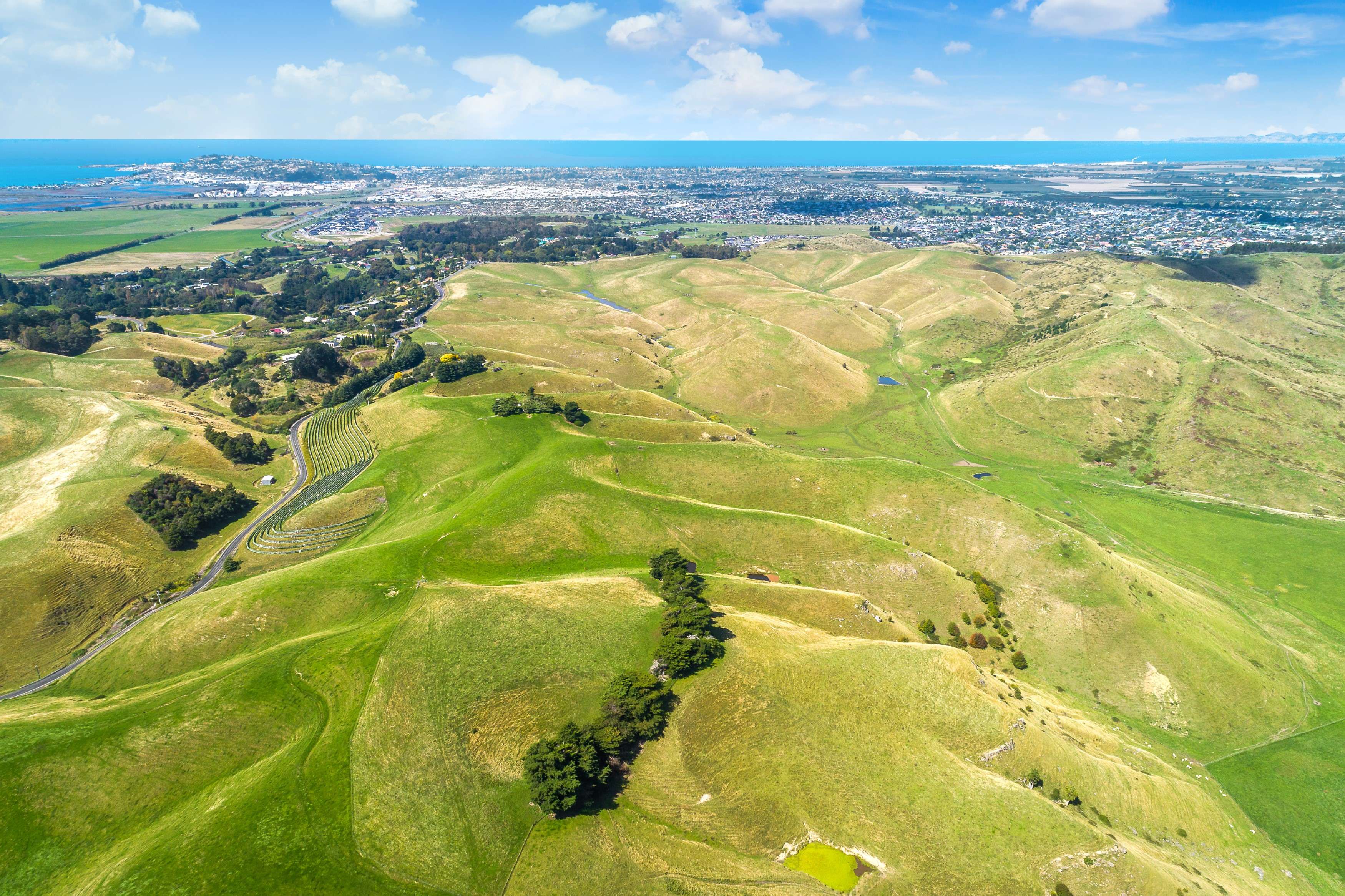 Hawke's Bay farm ripe for lifestyle block development, All things ...