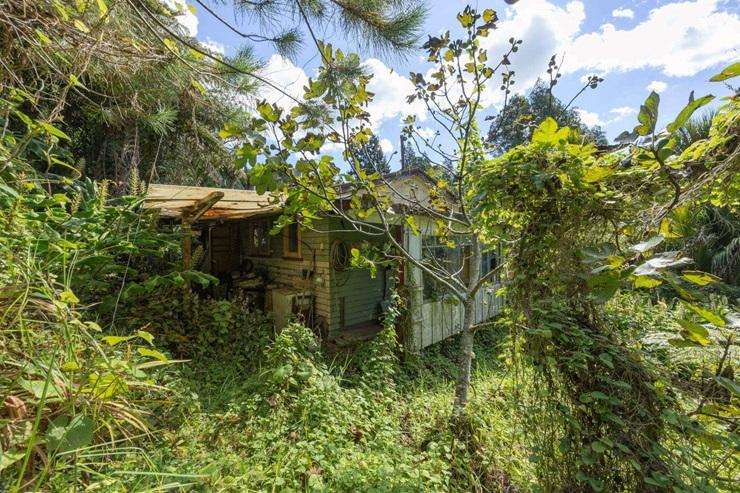 Bush shack in West Auckland’s hippy enclave looking for a brave buyer ...