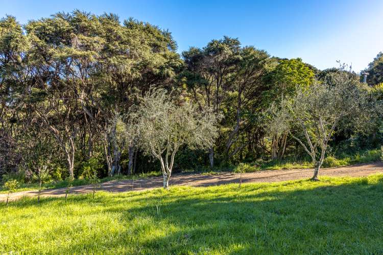 50B Margaret Reeve Lane | Te Whau | Waiheke Island | Houses for Sale ...