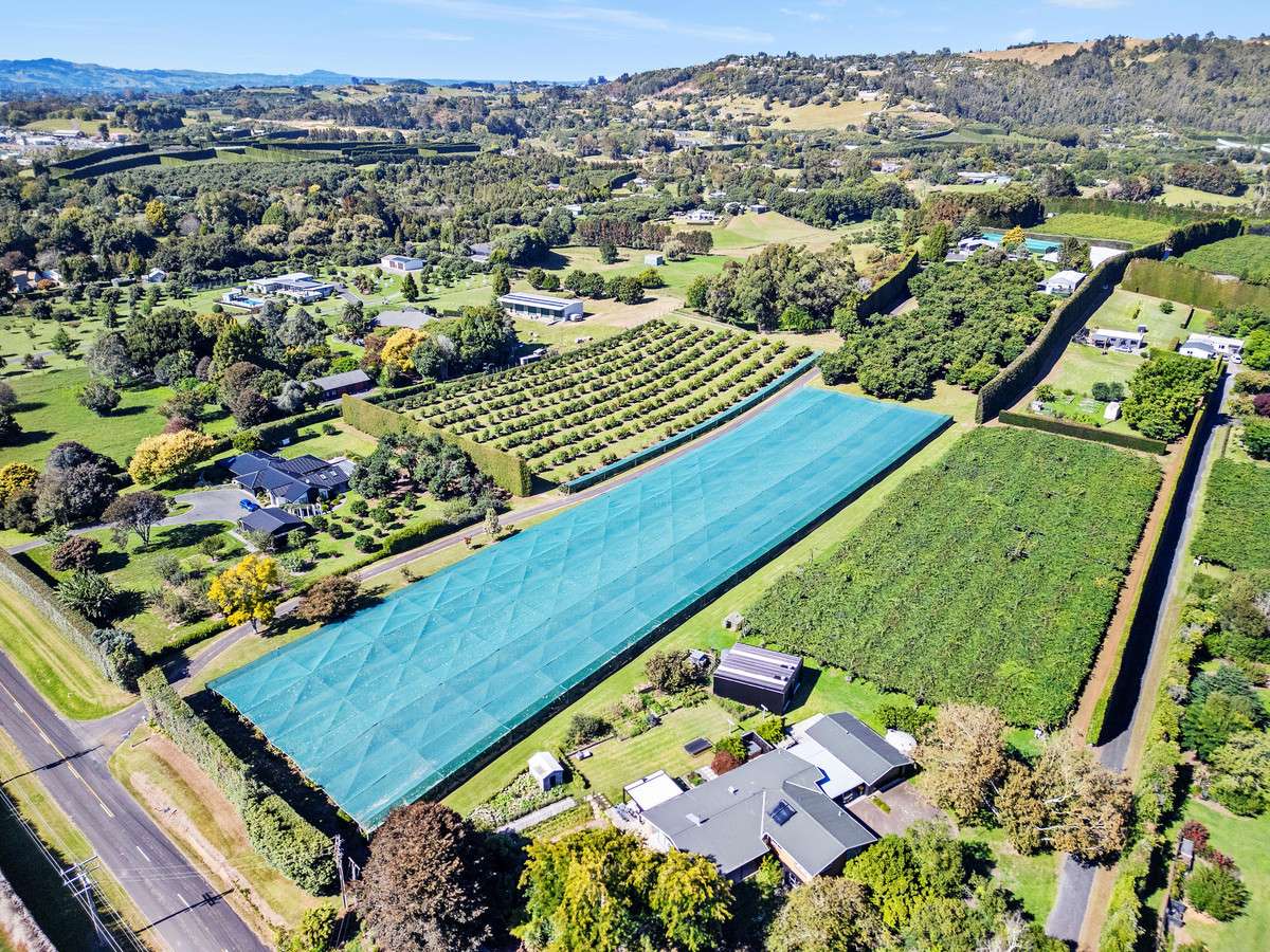 127 Armstrong Road | Te Puna | Western Bay Of Plenty | Houses for Sale ...