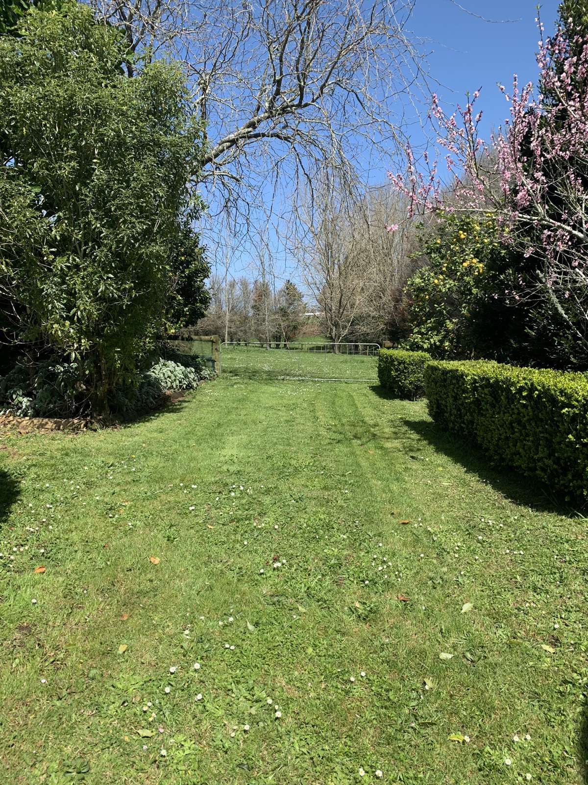 87 Pukeoware Road | Waiuku | Franklin | Houses for Sale - OneRoof
