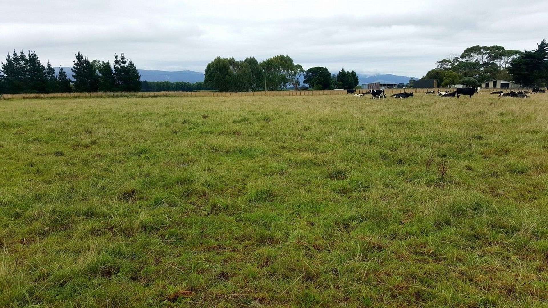 Kahutara Road | Pirinoa | South Wairarapa | Houses for Sale - One Roof