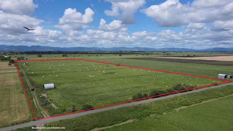 Pouarua Road | Ngatea | Hauraki | Rural Property For Sale - OneRoof