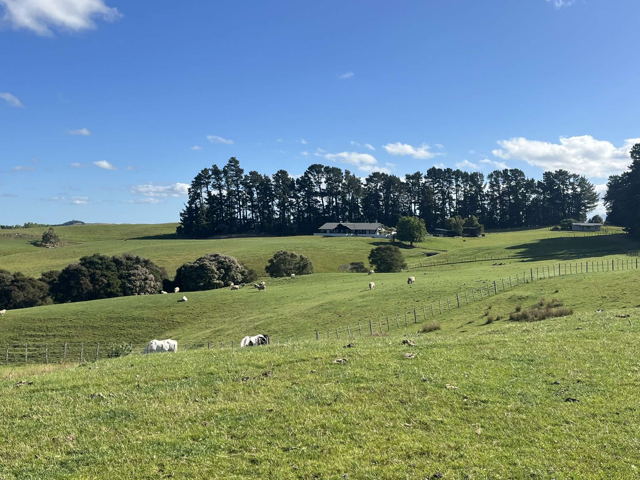 Top-tier farm offering in Hawke’s Bay, All things property, under OneRoof