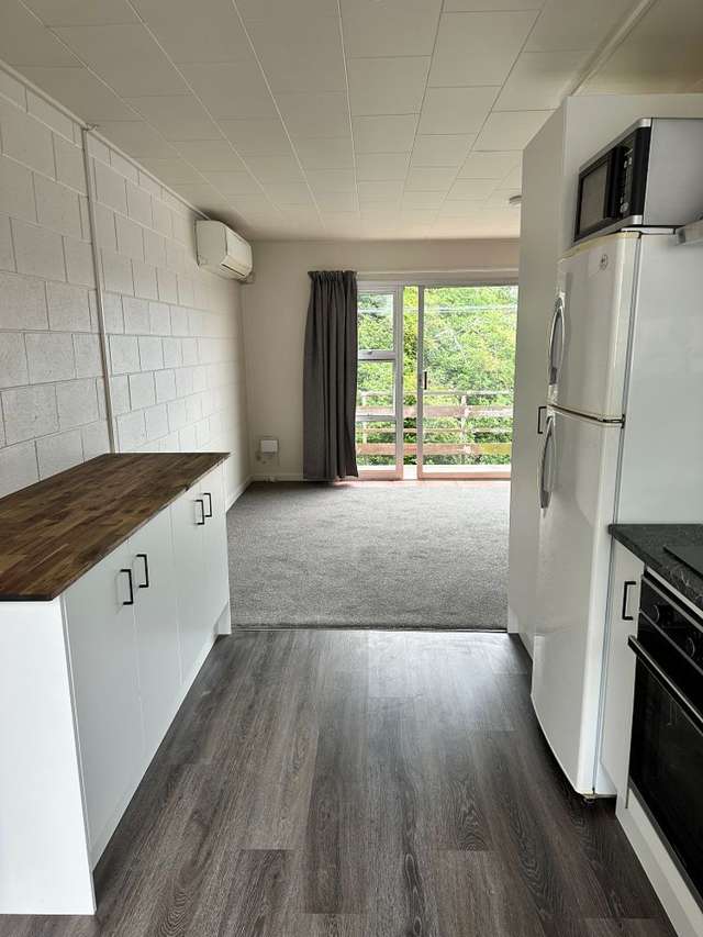 191D Carroll Street | Dunedin Central | Dunedin City | Houses for Rent ...