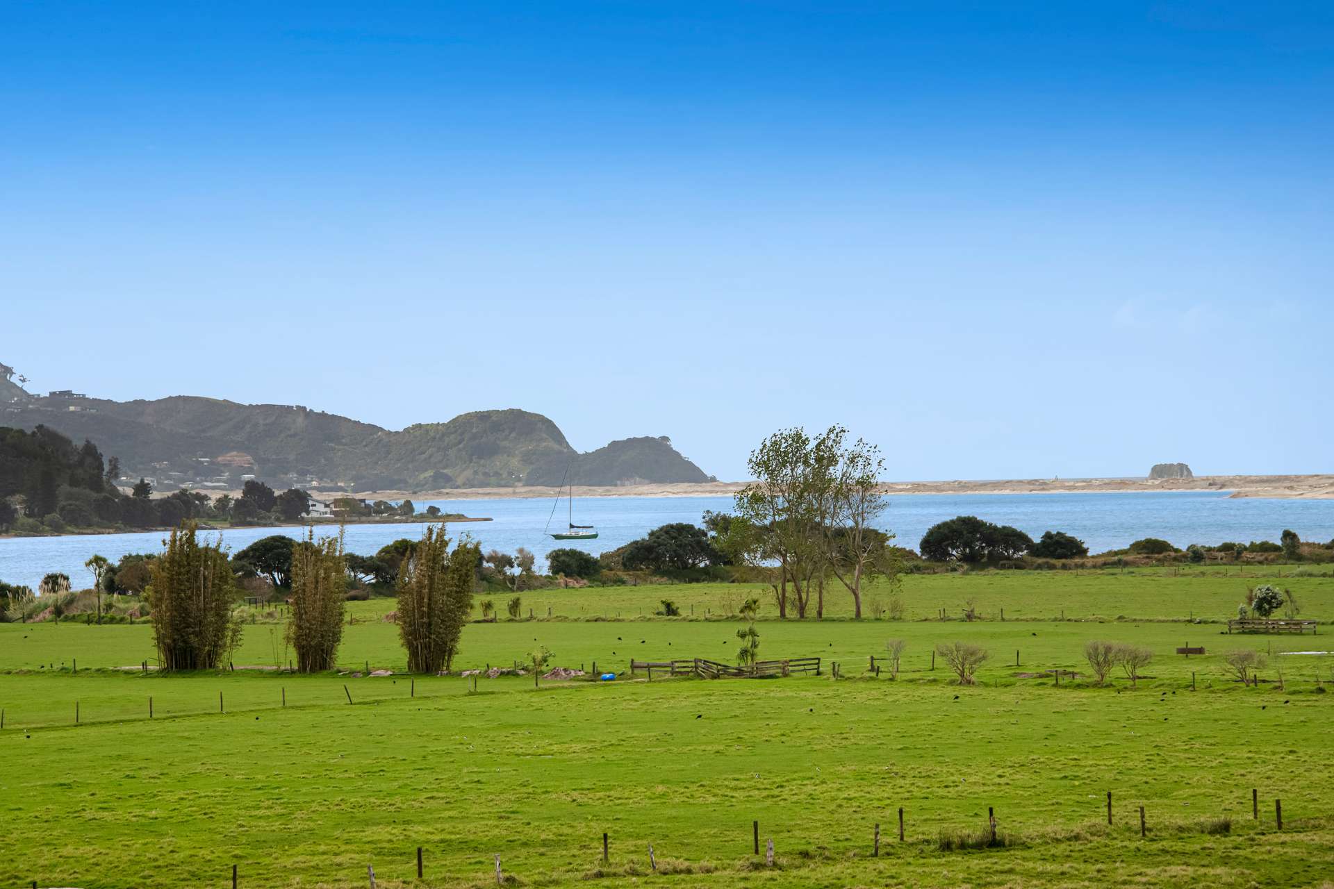 30 Tern Point | Mangawhai | Kaipara | Houses for Sale - One Roof