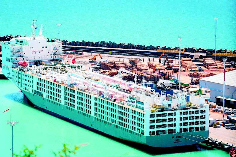Live exports rising despite phase-out, All things property, under OneRoof
