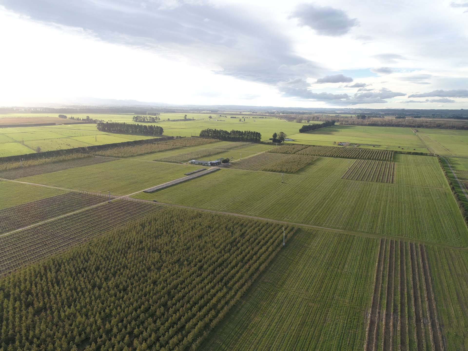 477 Swamp Road | Ongaonga | Central Hawke's Bay | Houses for Sale - OneRoof