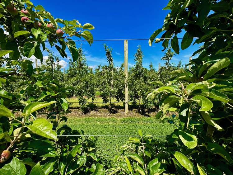 Judd Road | Waituhi | Gisborne District | Rural Property For Sale - One ...