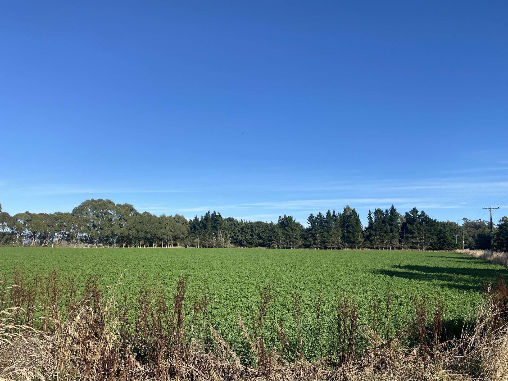 Sold .. Bristol Road | Pareora | Timaru on