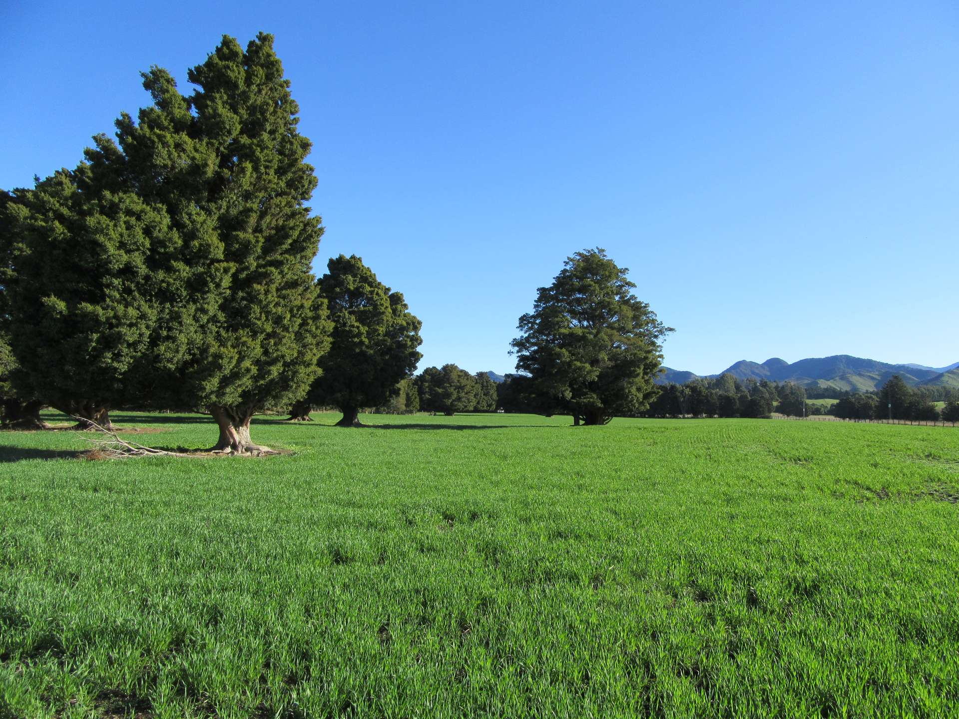 410 Ellison Road | Takapau | Central Hawke's Bay | Houses for Sale ...