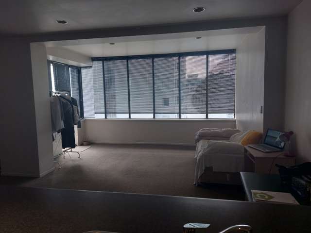 16 Liverpool Street | 10015 | Auckland City | Houses for Rent - One Roof