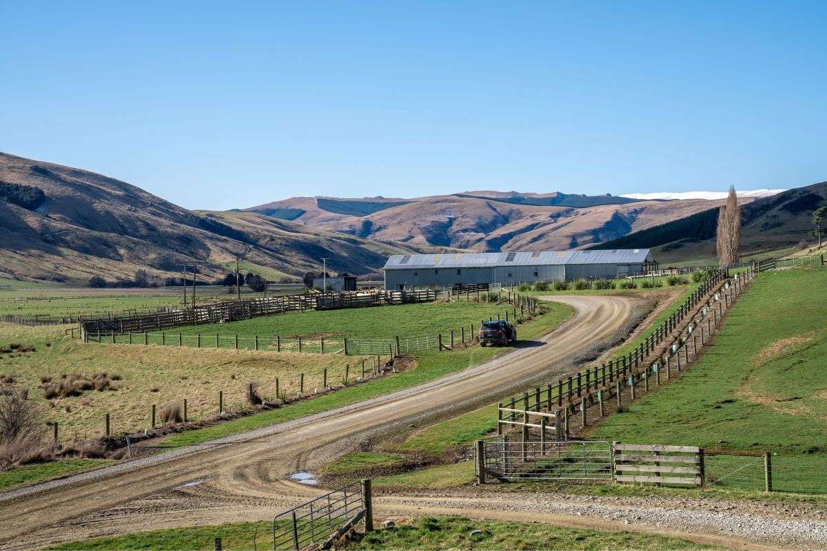 Regional rural market snapshots, All things property, under OneRoof