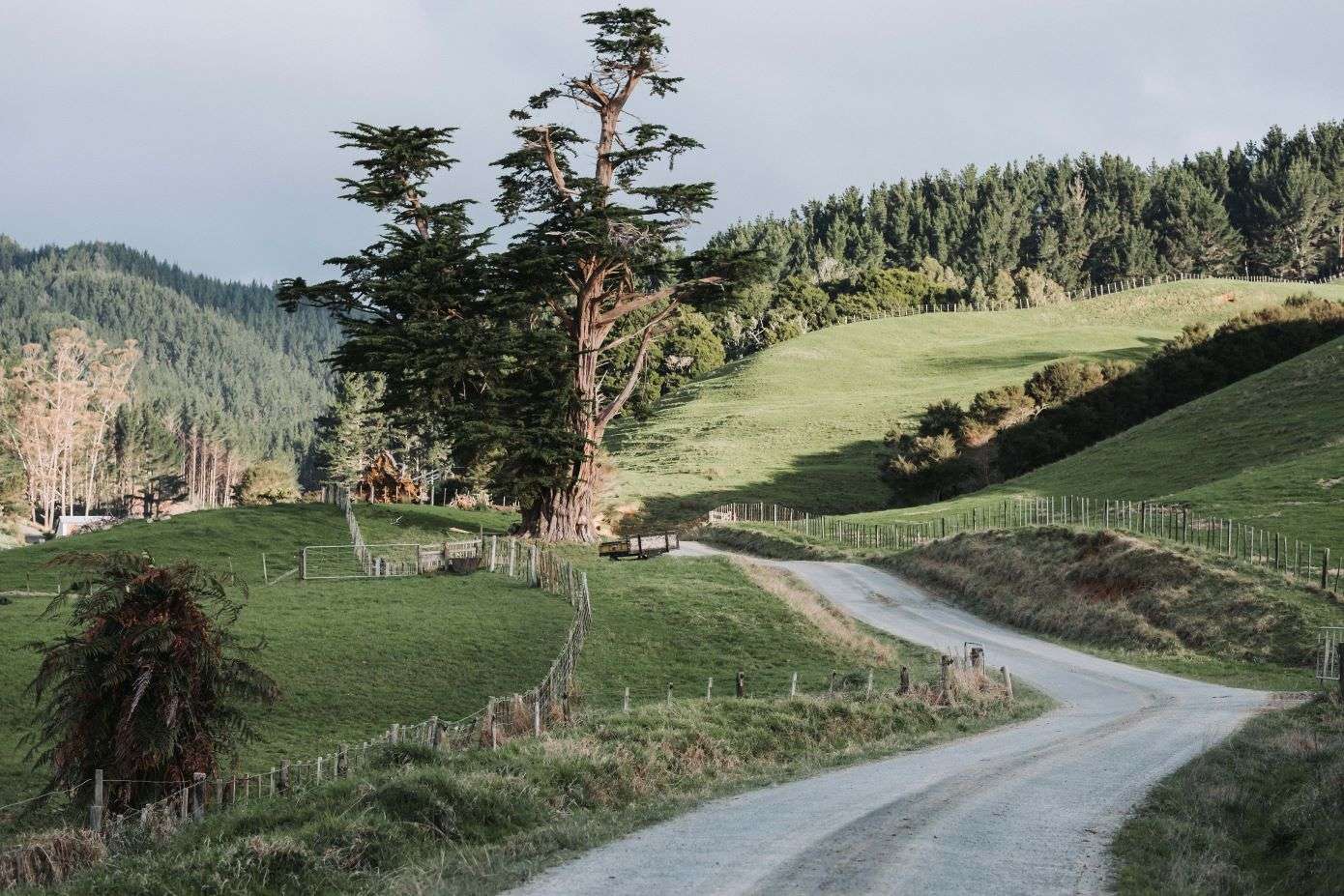 Standout property in Raglan, a great opportunity, All things property ...