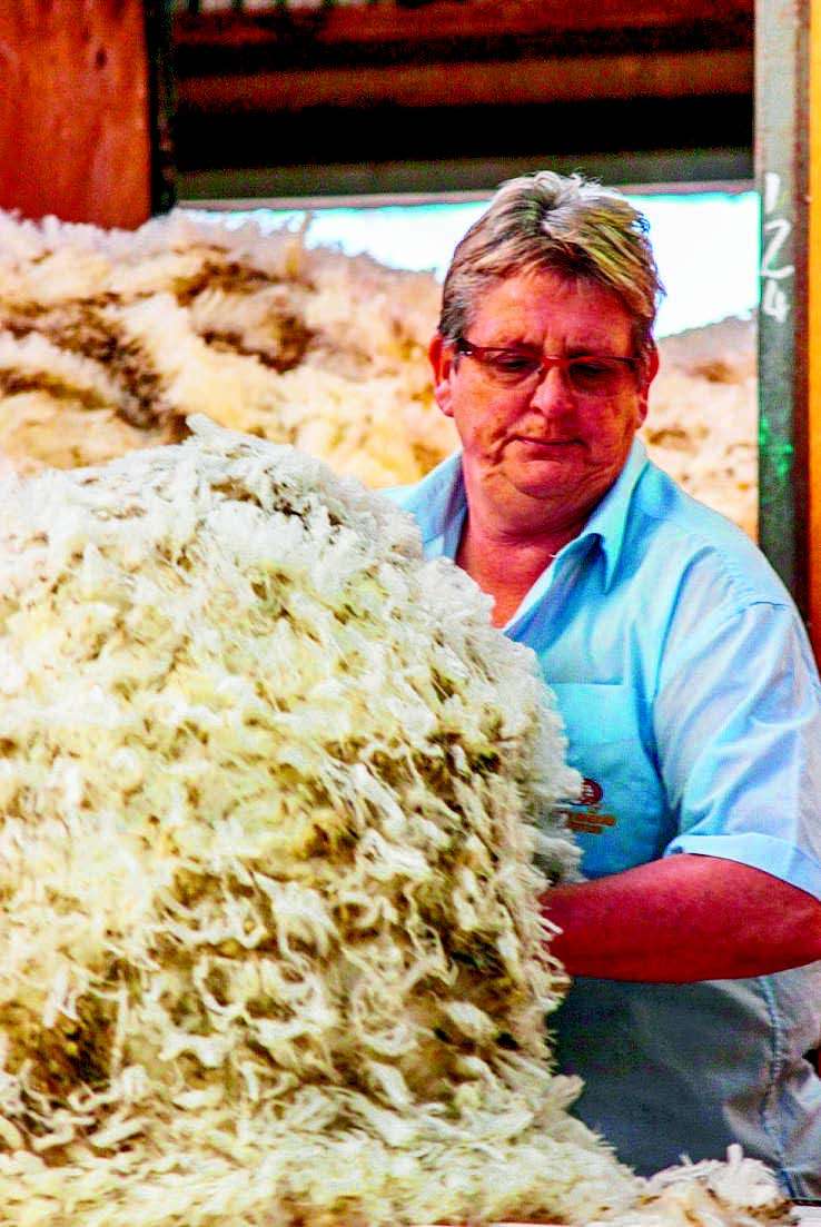 Barbara enjoys the ‘way of the shed', All things property, under OneRoof