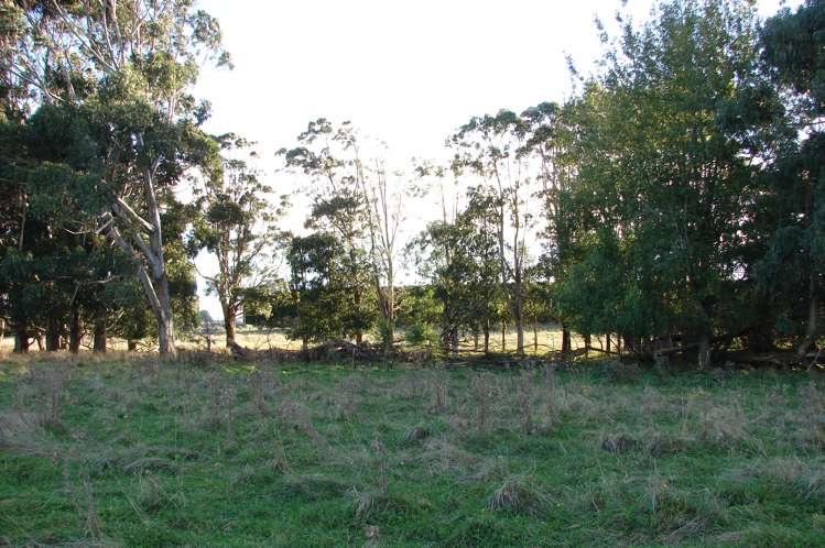 610 Grove Bush Woodlands Road | Mabel Bush | Southland | Rural Property ...