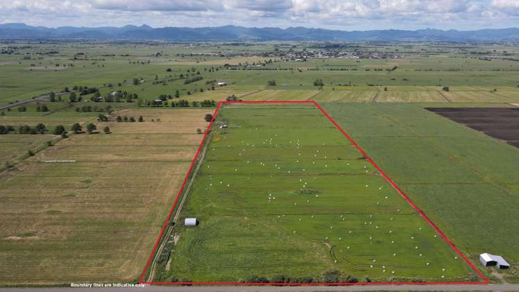 Pouarua Road | Ngatea | Hauraki | Rural Property For Sale - OneRoof