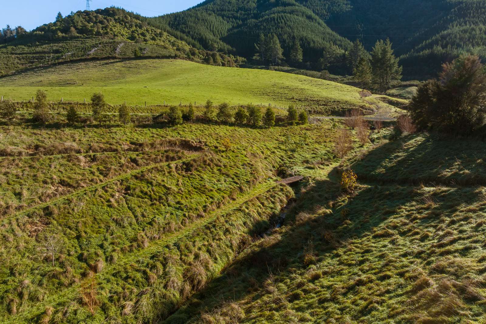 317 Maungatapu Road | Rai Valley | Marlborough | Rural Property For ...