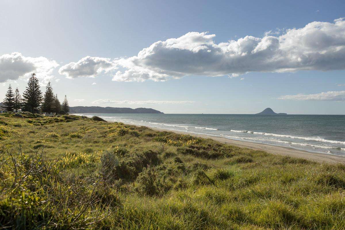 2C Kowhai Street | Ohope | Whakatāne | Houses for Sale - OneRoof