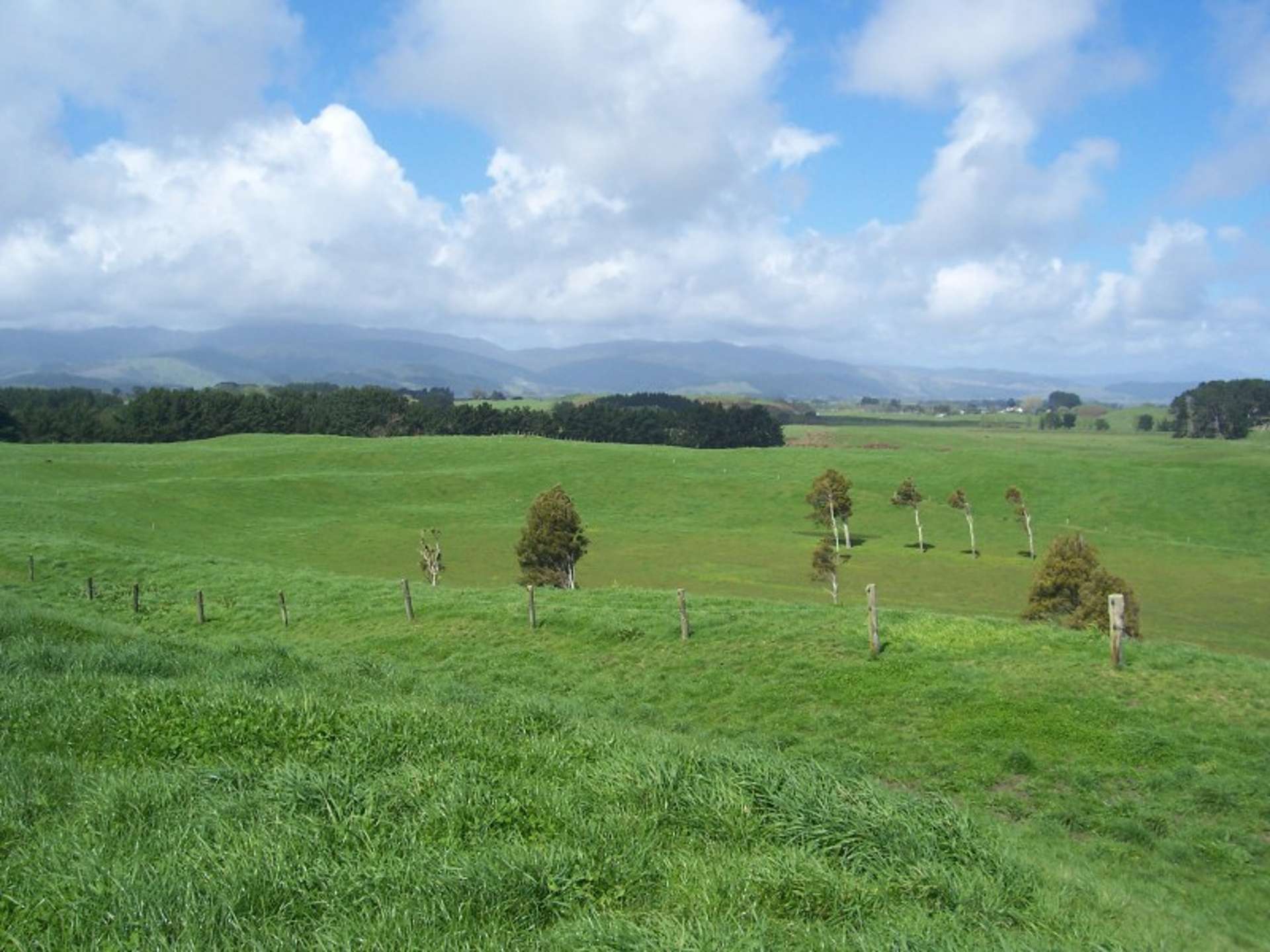 283 Hokio Sand Road | Hokio Beach | Horowhenua | Houses for Sale - OneRoof