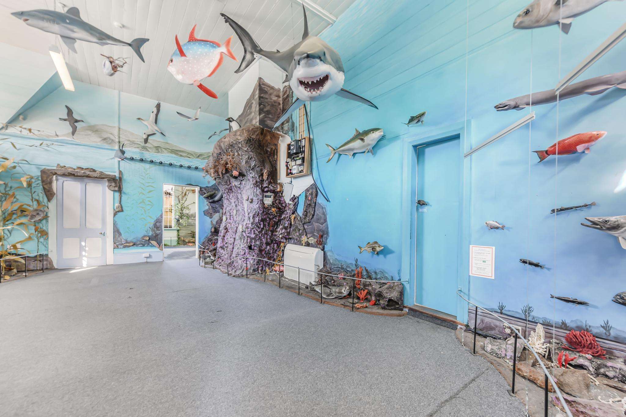 House with sharks! Old Kiwi post office building is some-fin special ...