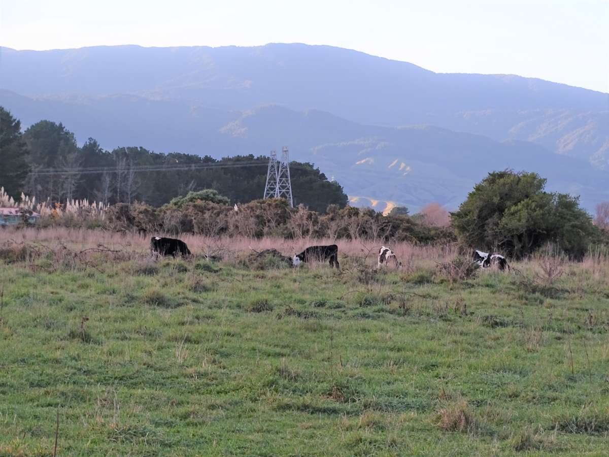 23 Kiharoa Street | Otaki Beach | Kapiti Coast | Houses for Sale - OneRoof