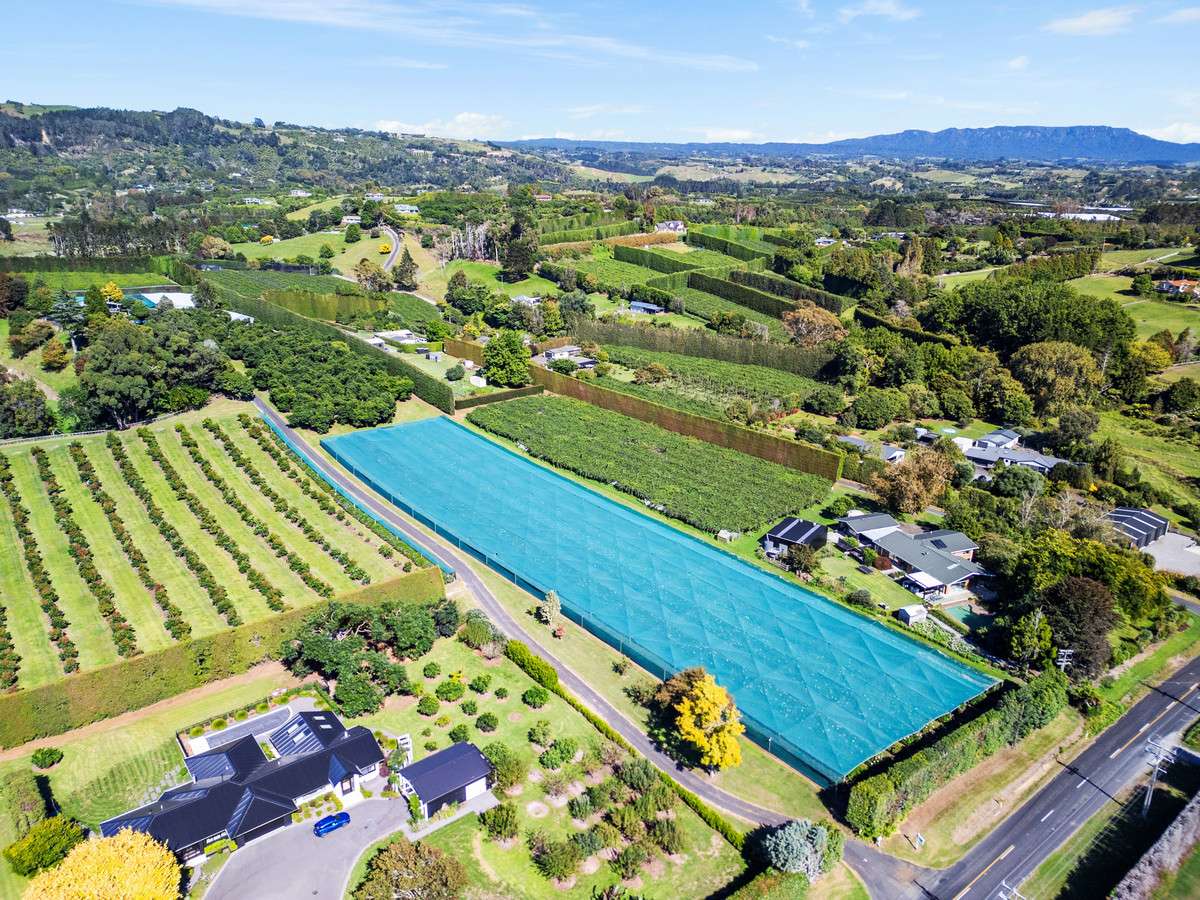 127 Armstrong Road | Te Puna | Western Bay Of Plenty | Houses for Sale ...
