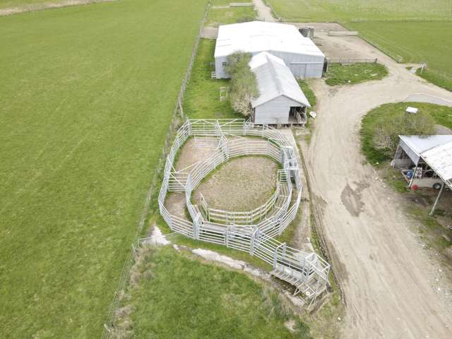 Sold 1965 Ohai Clifden Highway | Eastern Bush | Southland on