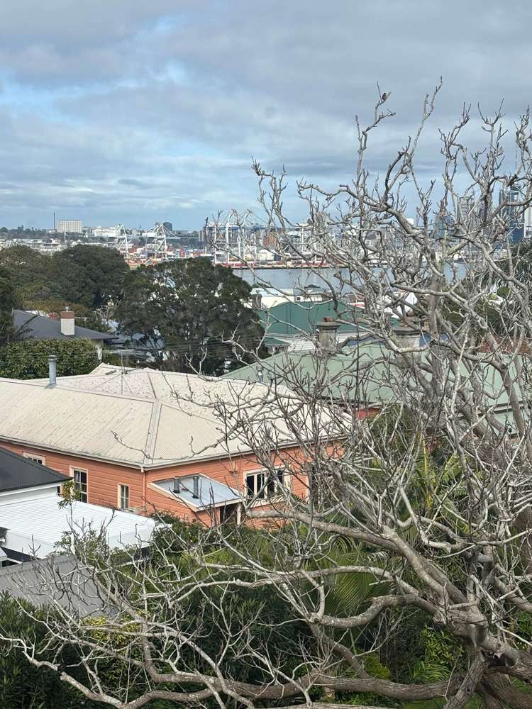 3/17 Kerr Street | Devonport | North Shore City | Houses for Rent - OneRoof