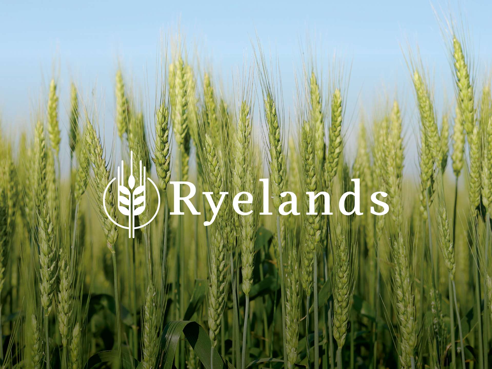 Ryelands | Darfield | Selwyn | Houses for Sale - One Roof