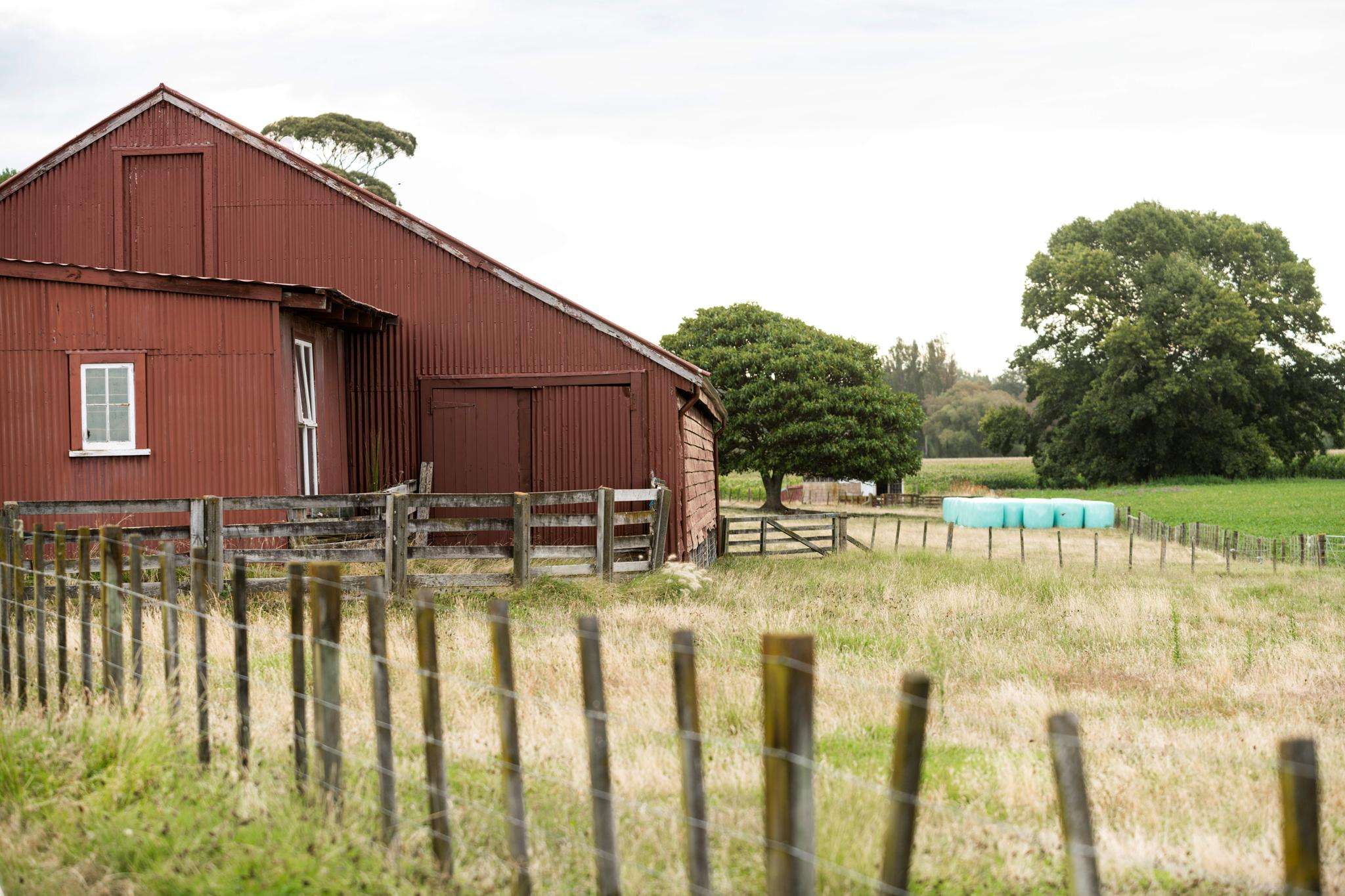 Rural confidence sparks rebound in farm sales, All things property ...