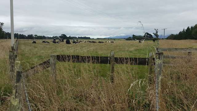 Kahutara Road | Pirinoa | South Wairarapa | Houses for Sale - One Roof