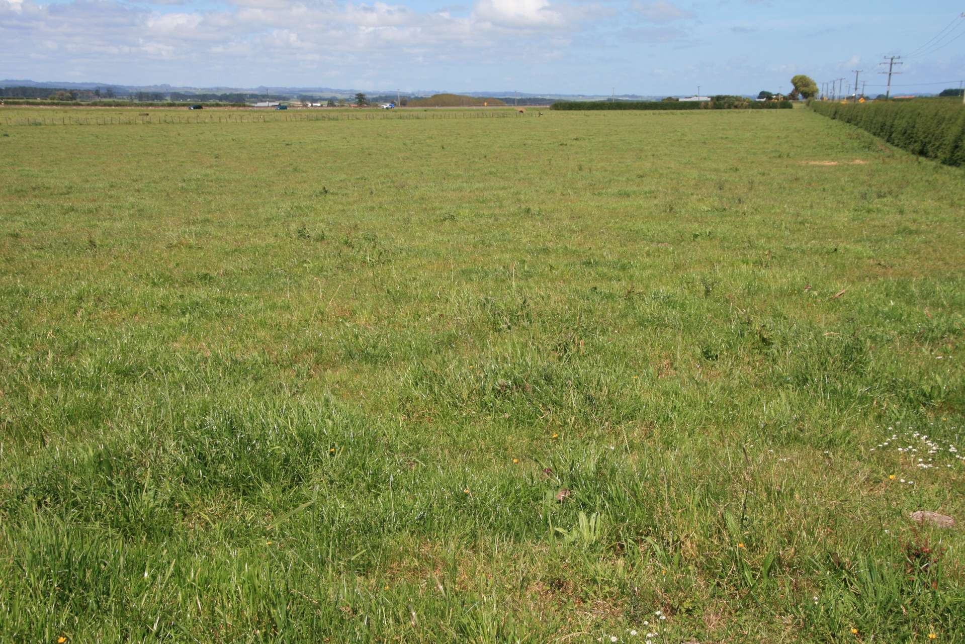 186 Austin Road | Hawera | South Taranaki | Rural Property For Sale ...