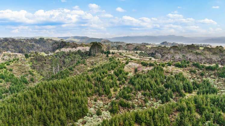 Lot 6 Tram Gully Road | Awhitu Central | Franklin | Rural Property For ...