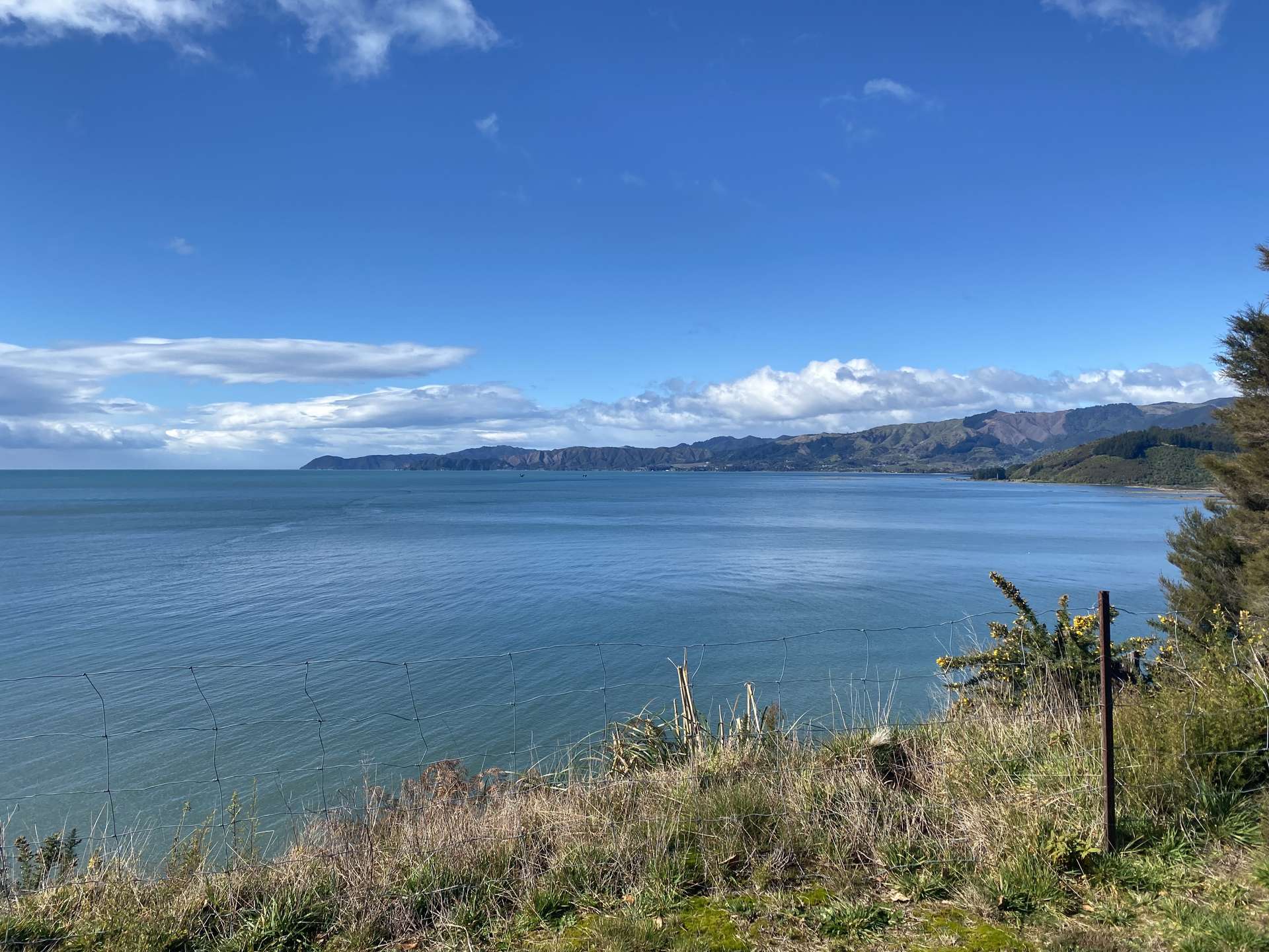 154 Rangihaeata Road | Kahurangi National Park | Buller | Houses for ...