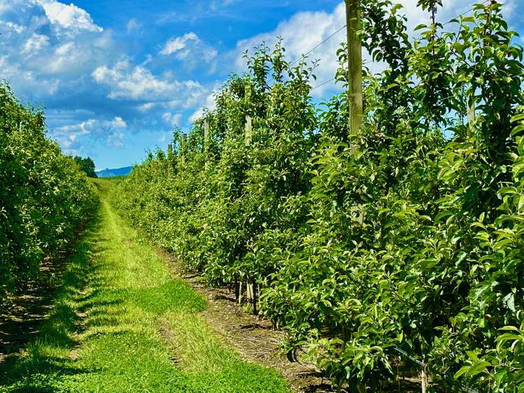 Judd Road | Waituhi | Gisborne District | Rural Property For Sale - One ...