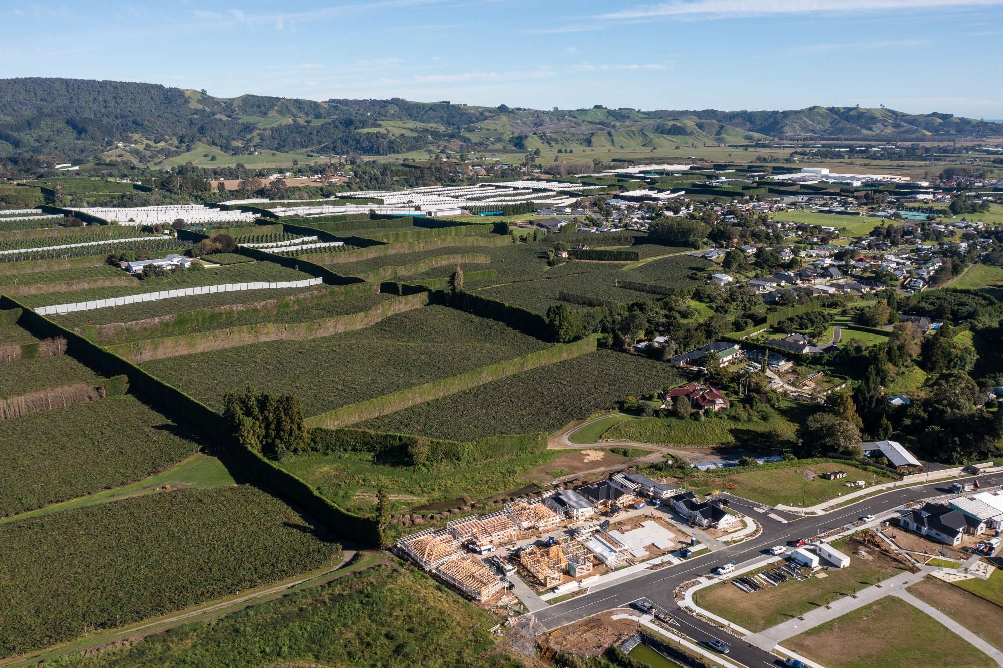 Development site in ‘horticulture capital’, All things property, under ...