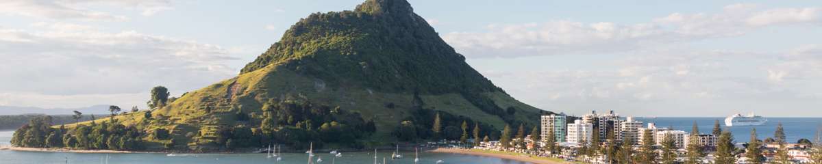 3 Maunganui Road | Mount Maunganui | Tauranga | Houses for Sale - OneRoof