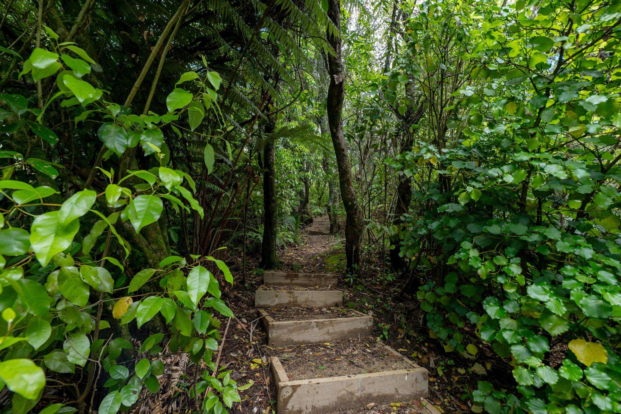 G17 Boat Shed Structure | Lake Okareka | Rotorua | Houses for Sale ...