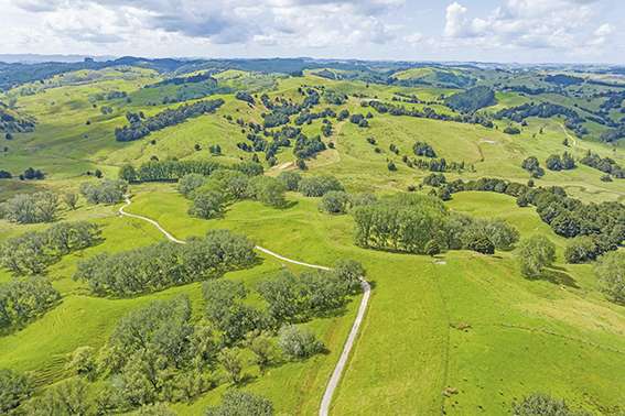 Rural Property News Across NZ | OneRoof