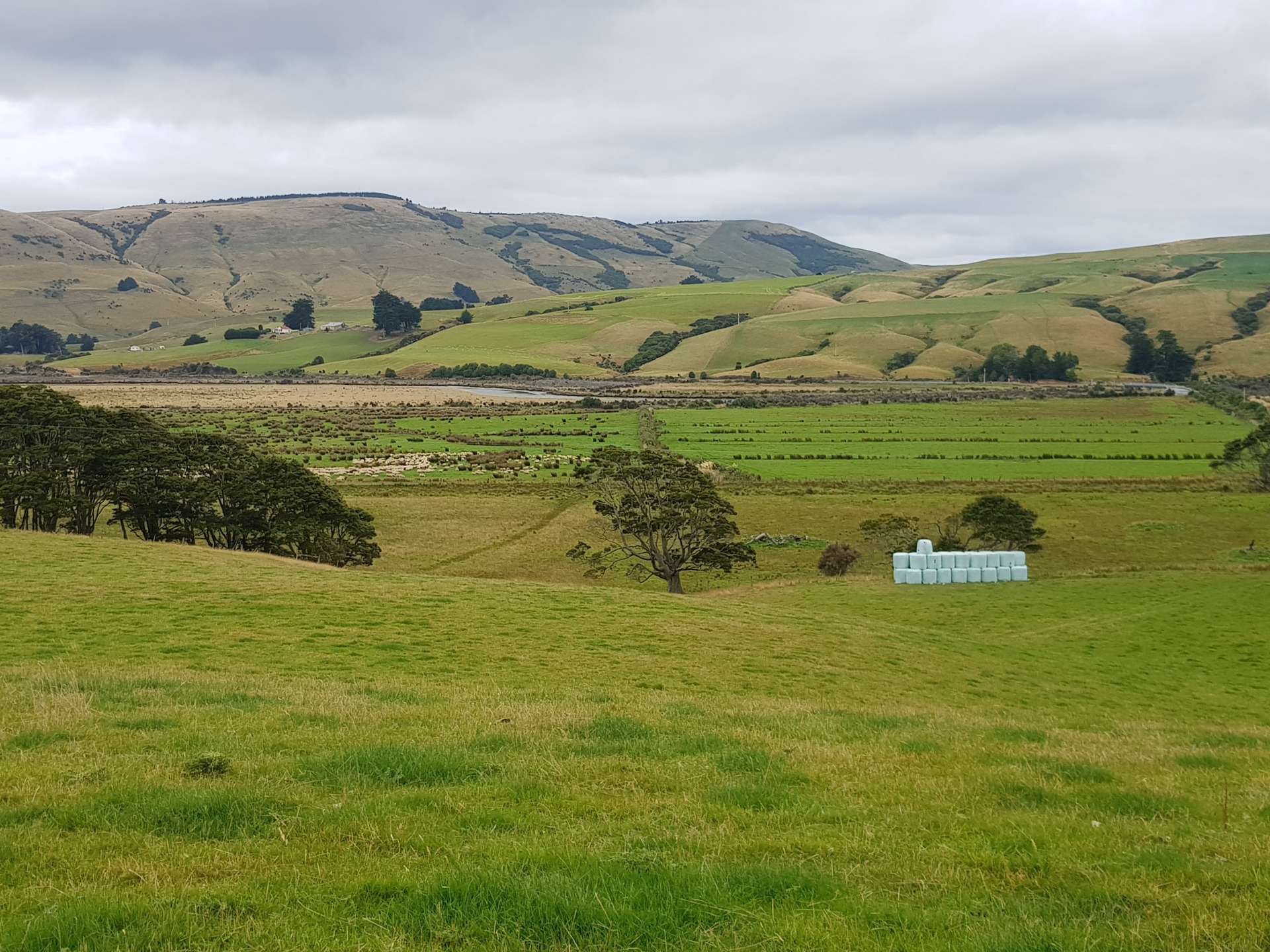 Papatowai Highway | Owaka | Clutha | Houses for Sale - One Roof