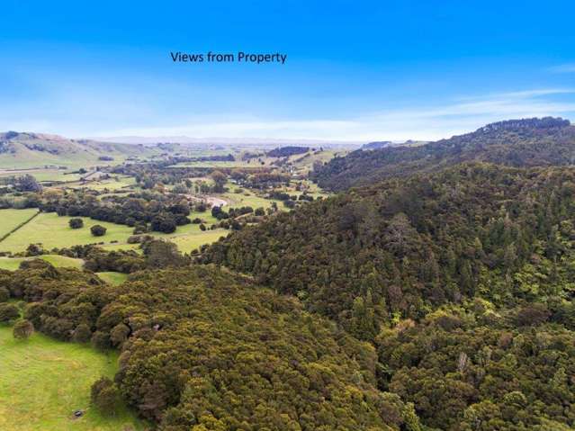 509A Old Maratoto Road | Hikutaia | Thames-Coromandel | Rural Property ...