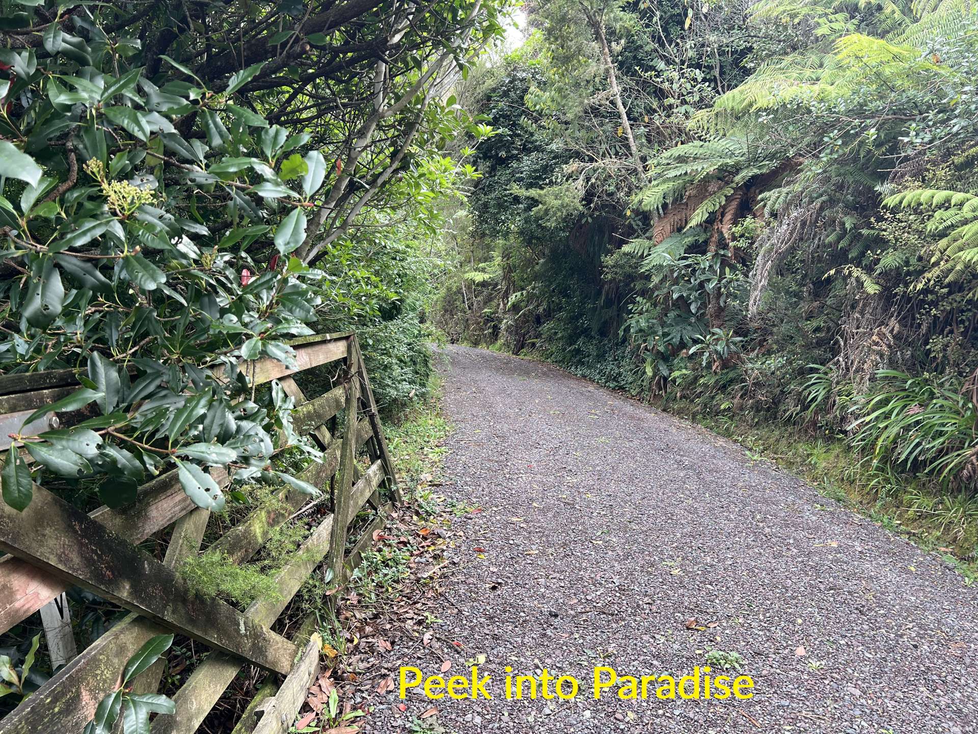 1047 Paihia Road | Opua | Far North | Houses for Sale - OneRoof